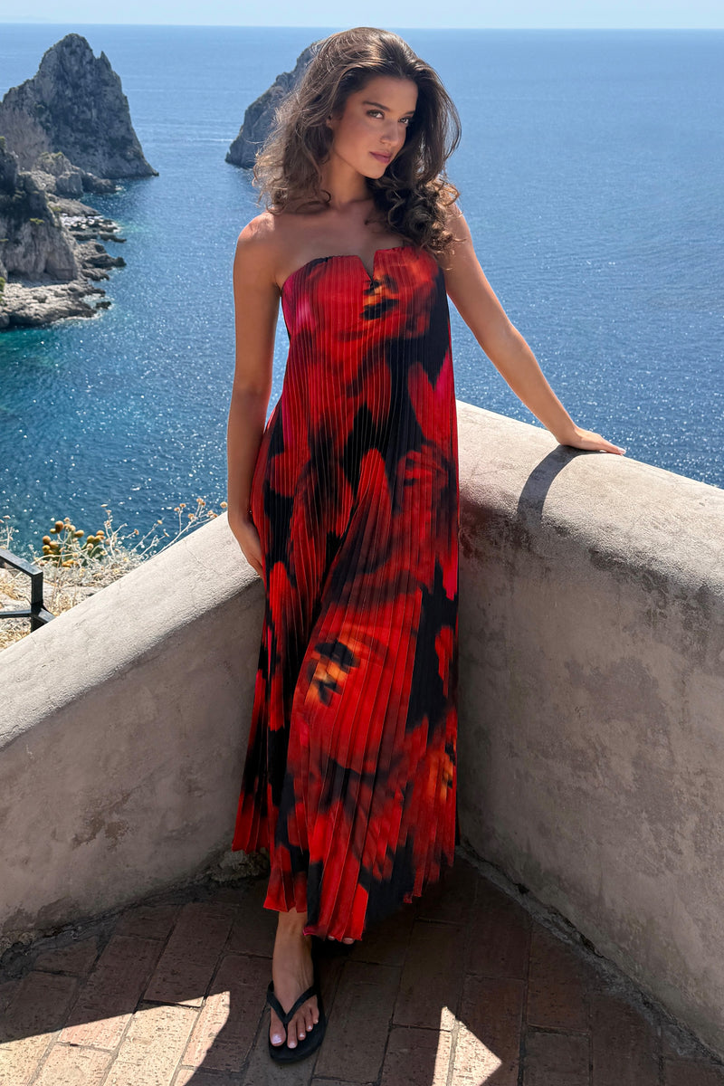 Bergamot Robe Longue en Satin à Imprimé Floral Noir et Rouge avec Dé ...